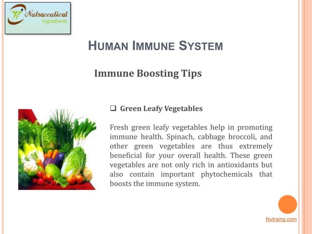 Boost Immune System, Important tips for Boosting Immune System | PPT