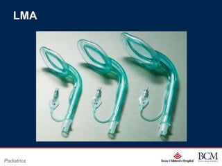 2013 Pediatric Fellows Boot Camp_Adjuncts BMV & LMA | PPT
