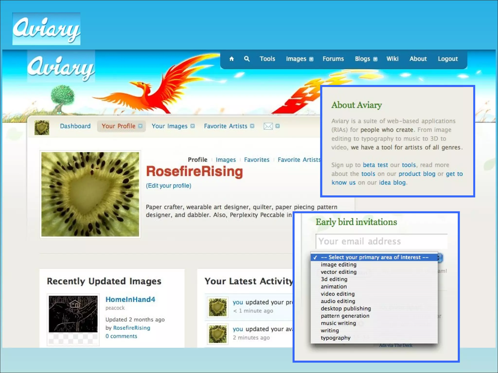 A.viary.com - An Overview | PPT