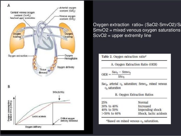 2013 Pediatric Subspecialty Boot Camp_SHOCK