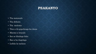 bophelo bja mohu.pptx