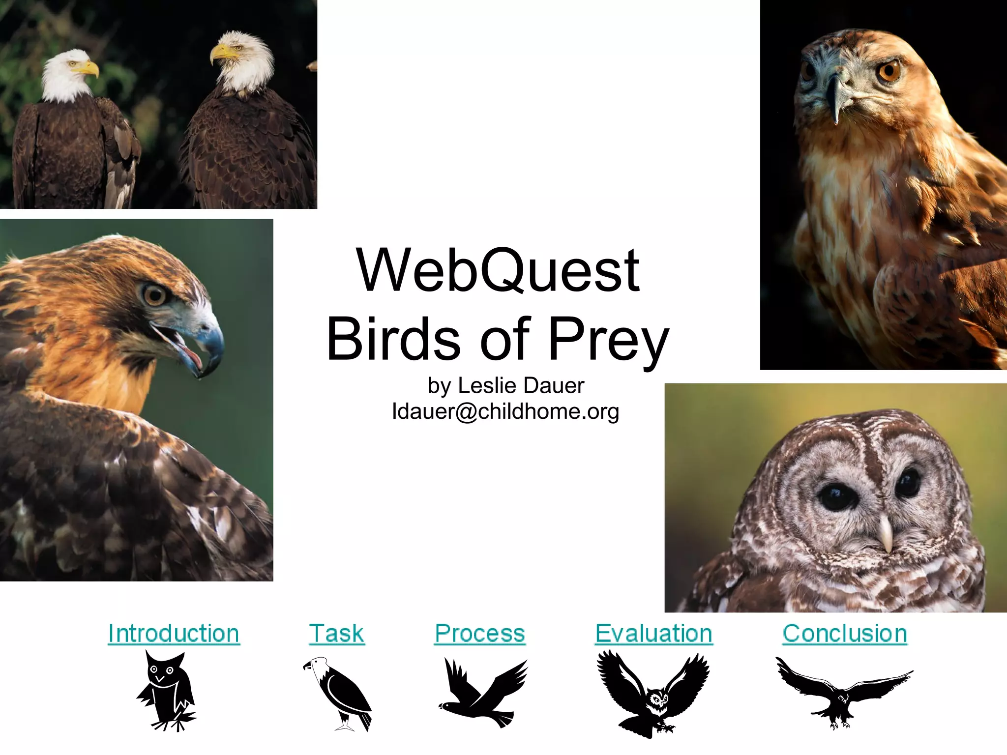 Birds of Prey WebQuest | PPT