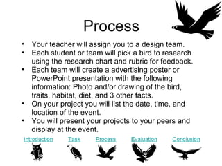 Birds of Prey WebQuest | PPT