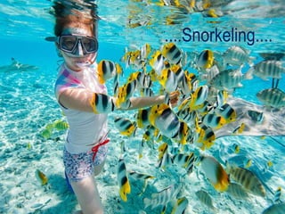 Boracay english version | PPTX