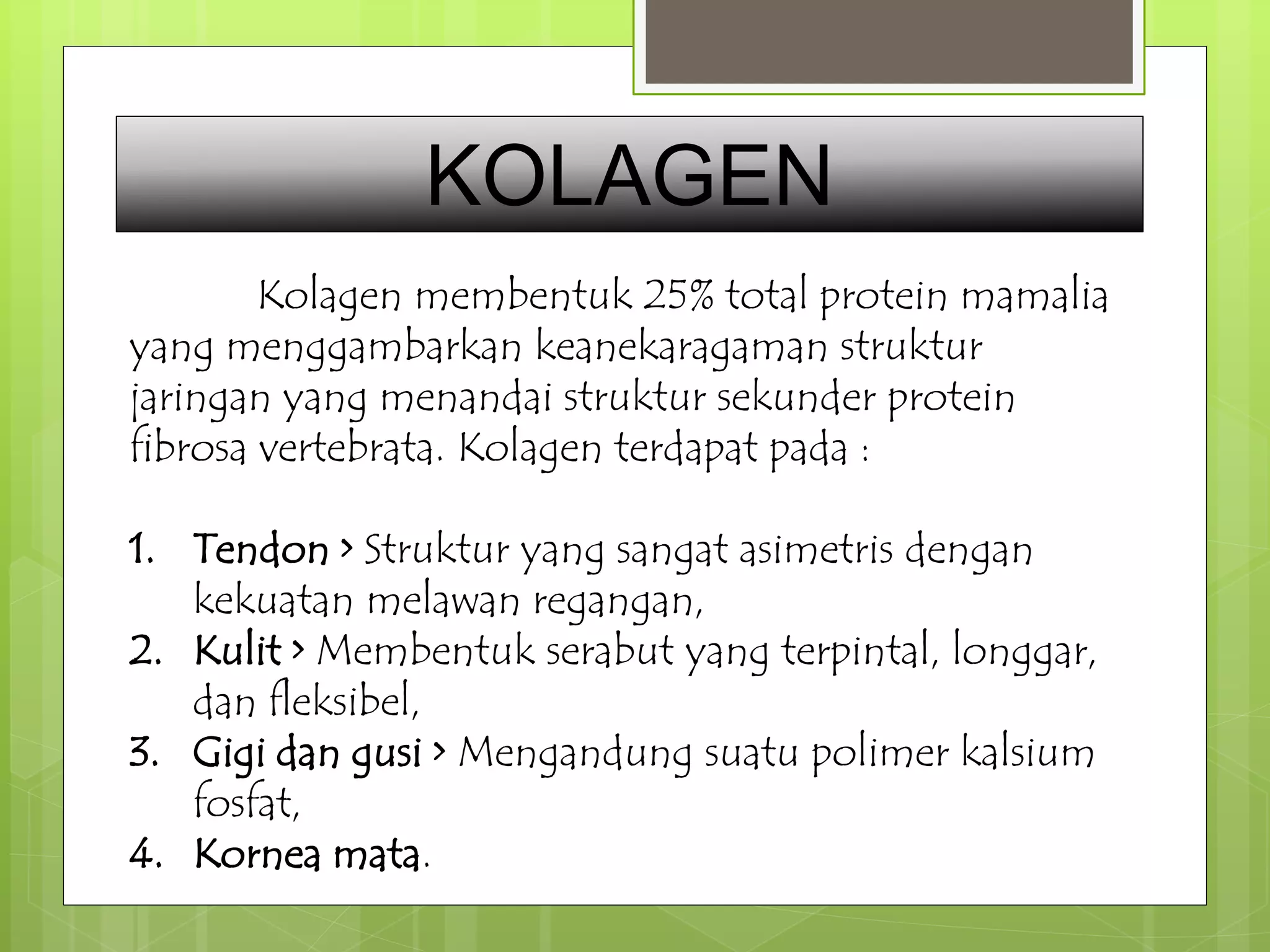 Biokimia Struktur Protein | PPT