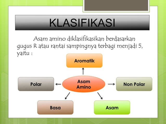 Biokimia Struktur Protein | PPT