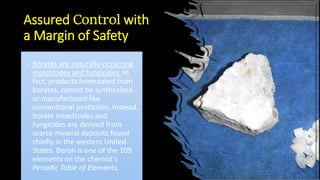 Borates and the Facts About Wood.pdf | Woodworking | Arts and Crafts