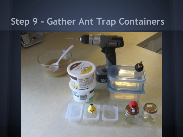 How To Make Homemade Borax Ant Killer Traps