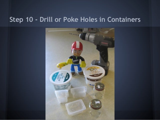 How To Make Homemade Borax Ant Killer Traps