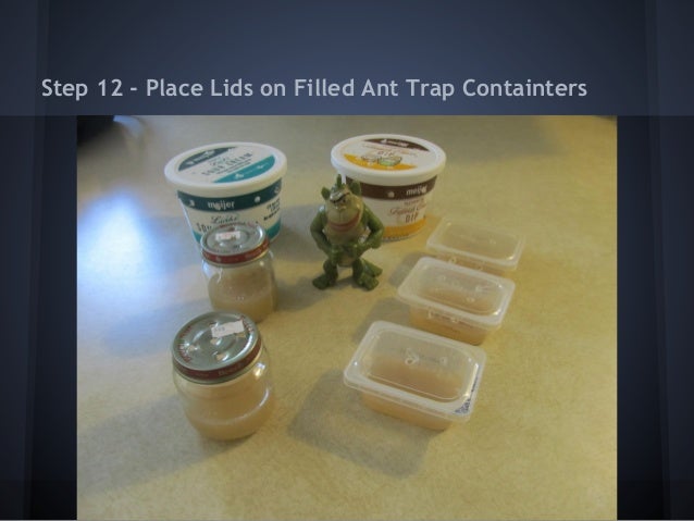How To Make Homemade Borax Ant Killer Traps