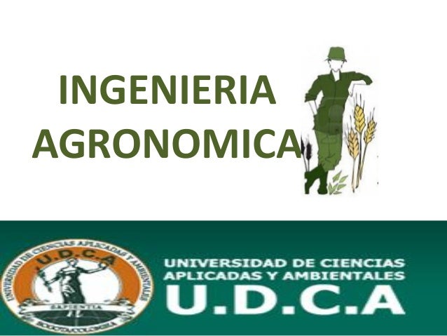 Udca Logo