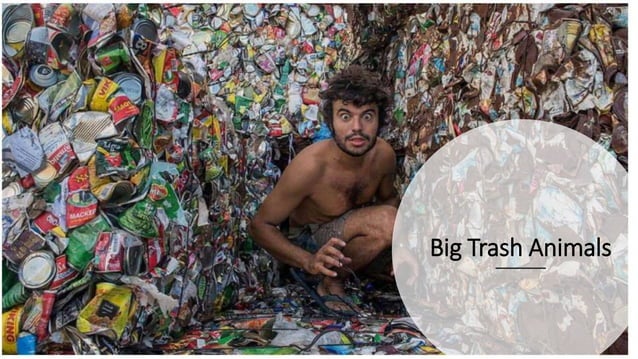 ECOMATES PROJECT - CAN WE BECOME CREATIVE ARTISTS?Bordalo II - Famous ...