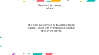 Bordeaux Mixture.pptx