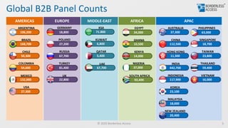 Borderless Access - Global B2B Panel Book | PDF
