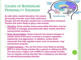 Borderline Personality Disorder Brain Abnormalities