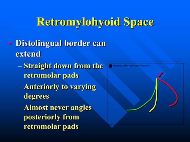 Border Molding.ppt | Dental Health | Diseases and Conditions