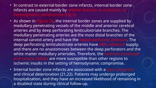 Border zone infarcts in cerebrum and cerebellum.pptx