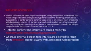Border zone infarcts in cerebrum and cerebellum .pptx