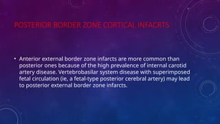 Border zone infarcts in cerebrum and cerebellum .pptx