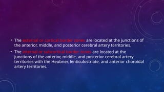 Border zone infarcts in cerebrum and cerebellum .pptx