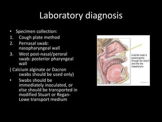 Bordetella by Dr. Himanshu Khatri | PPT