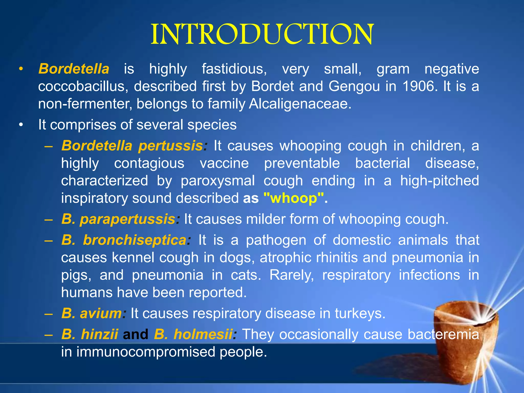 Bordetella | PPTX | Infectious Diseases | Diseases and Conditions