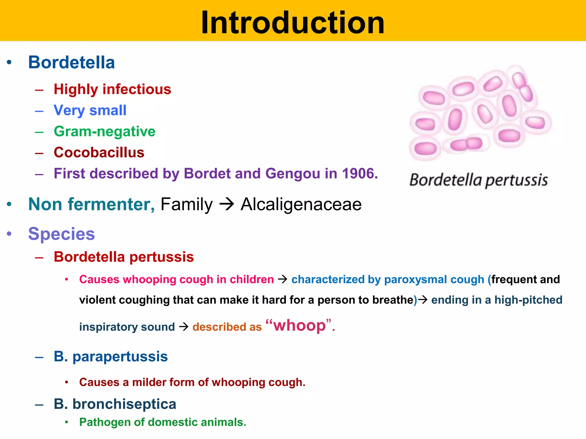 Bordetella | PPT | Lung and Respiratory Health | Diseases and Conditions
