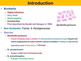 Bordetella | PPT