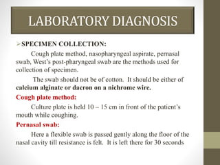 bordetella pertussis.................................ppt