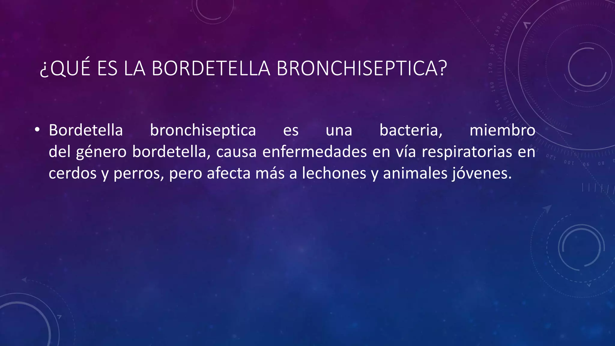 Bordetella bronchiseptica | PPTX