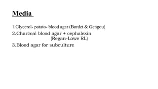 Bordetella pertusis ppt [Autosaved].pptx