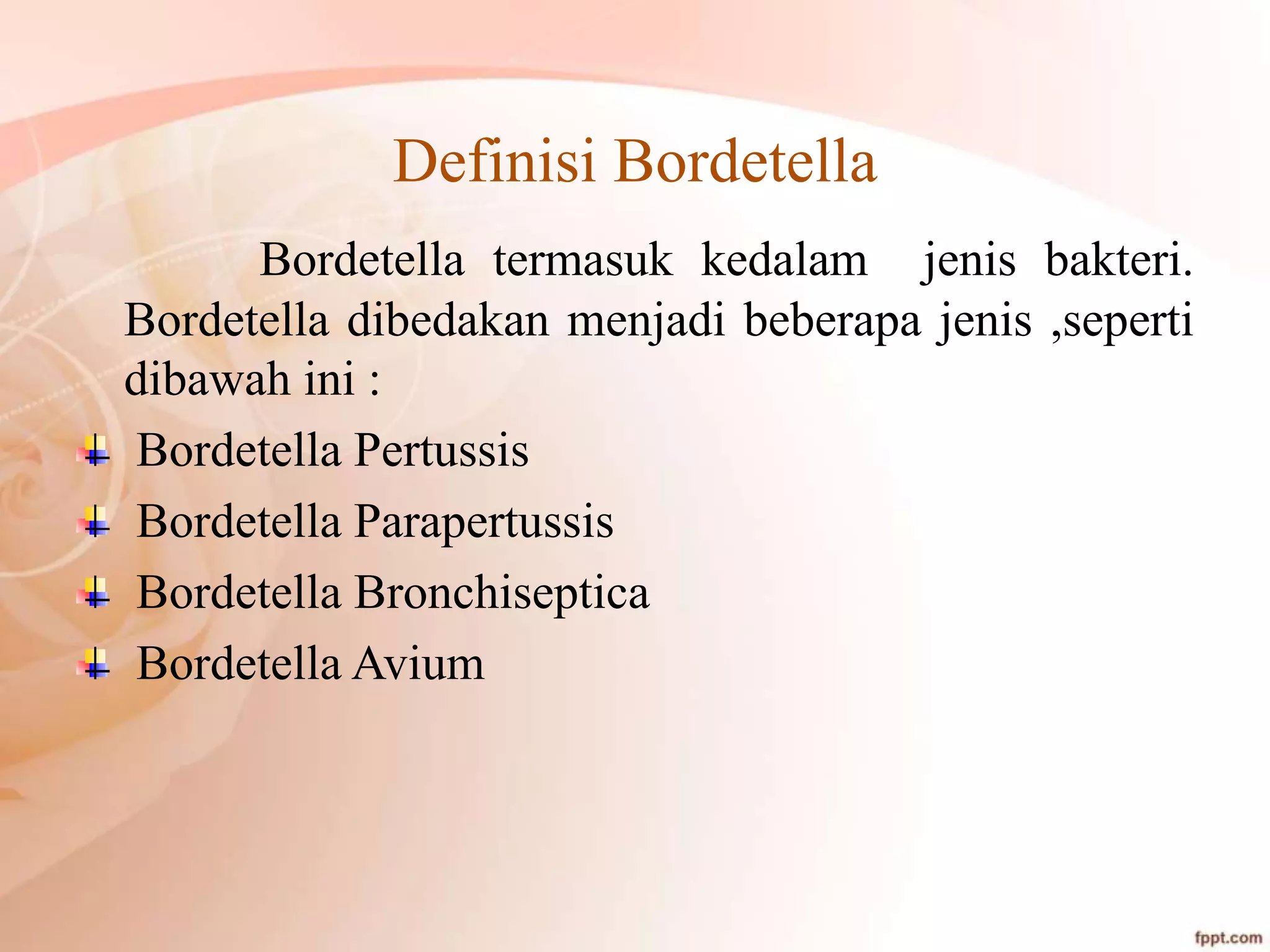 Bordetella pertussis | PPT