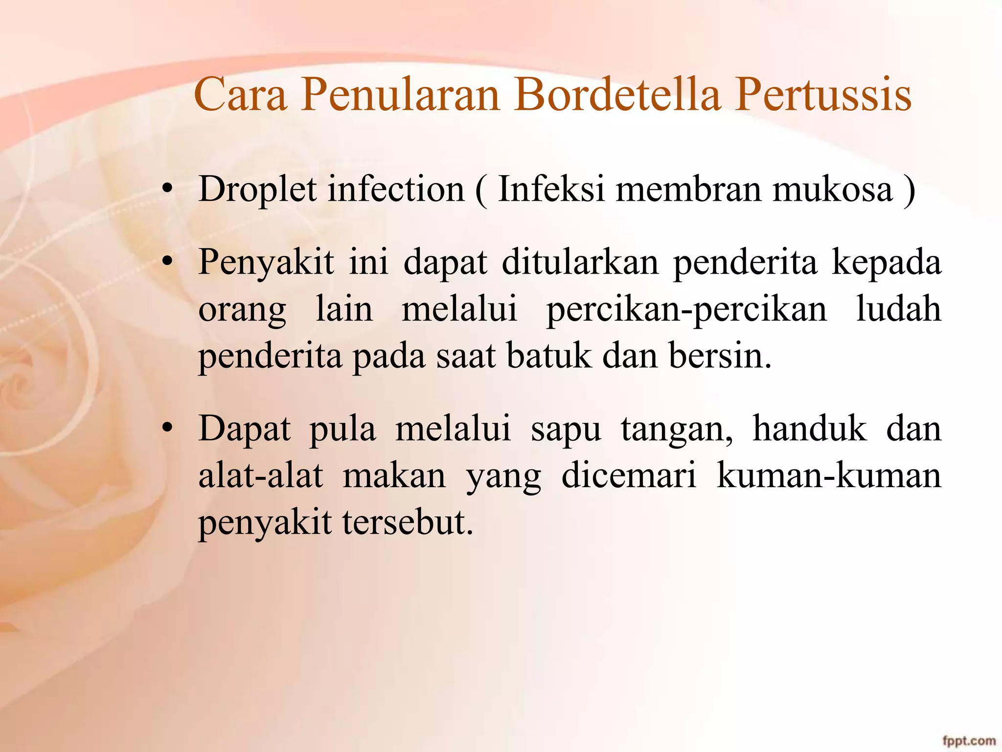 Bordetella pertussis | PPT