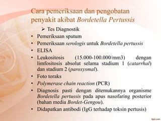 Bordetella pertussis | PPTX