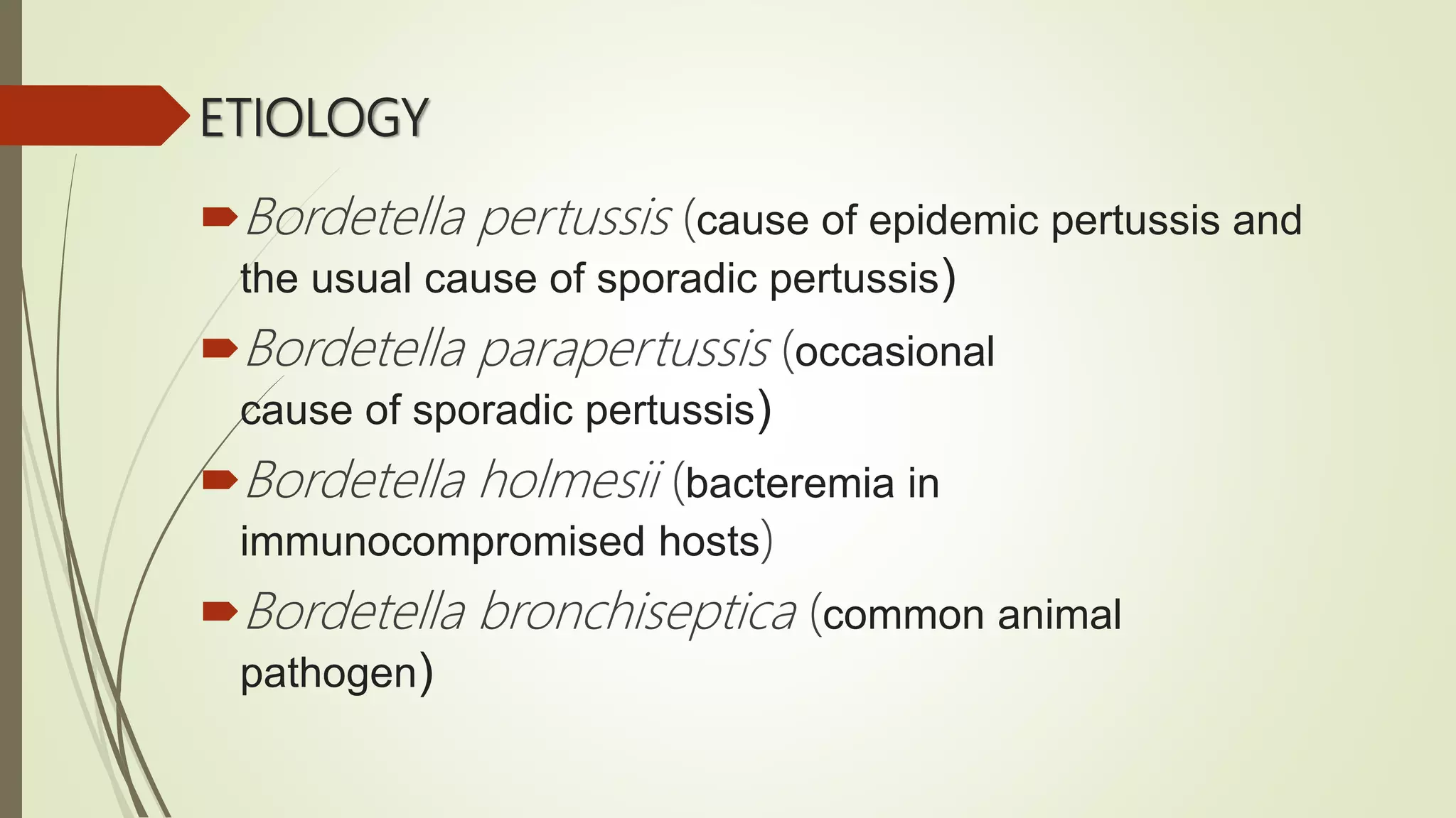 Bordetella pertussis | PPTX
