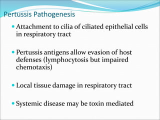 BordetellaPertussis.ppthhhhhhhhhhhhhhhhhhhhhhhh | PPT