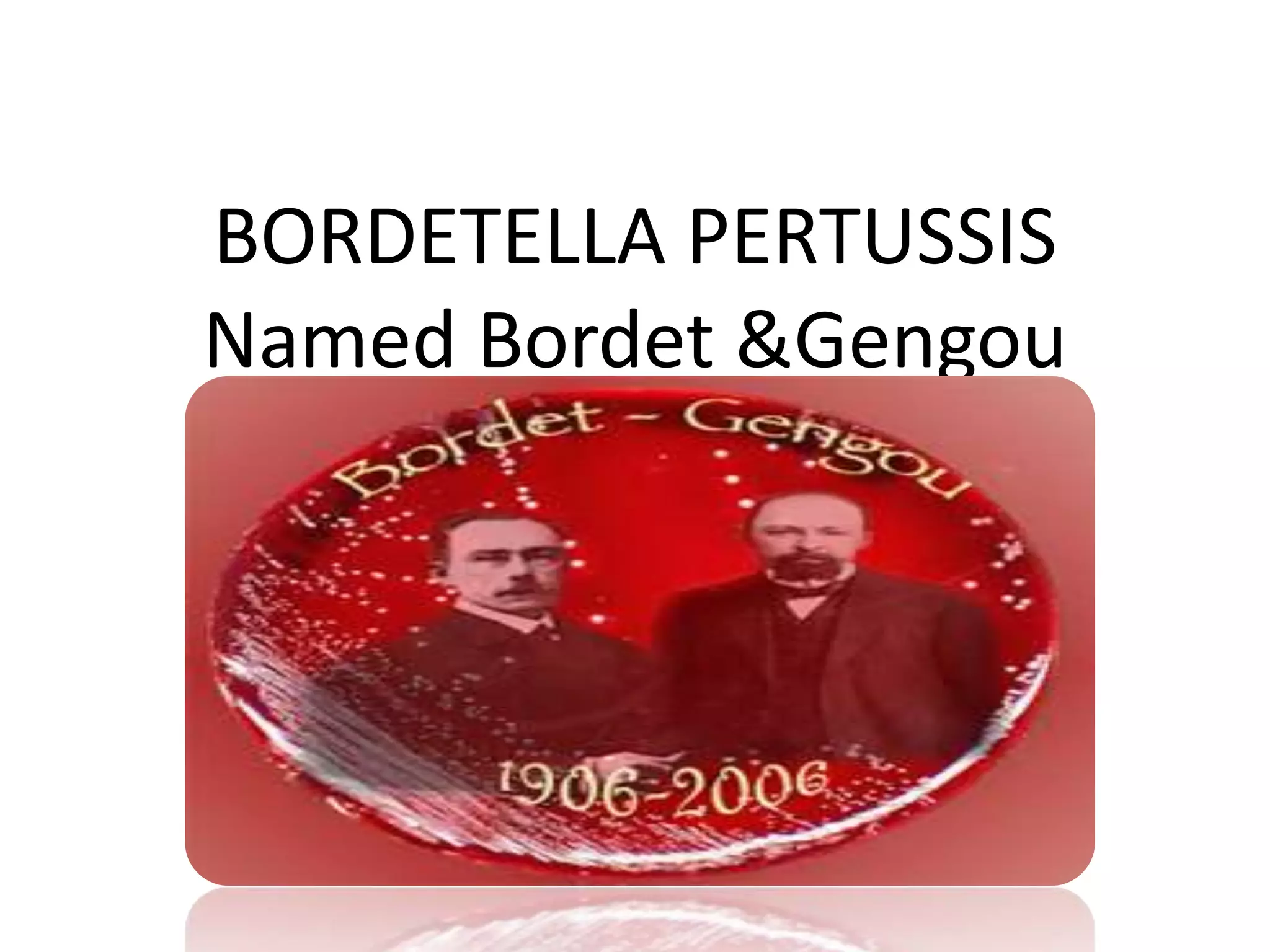 Bordetella pertussis depa | PPTX