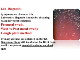 Bordetella pertussis depa | PPTX