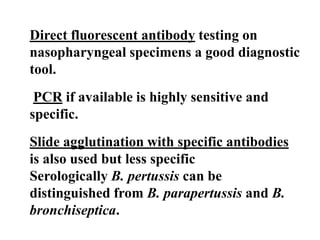 Bordetella pertussis depa | PPTX