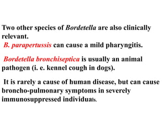 Bordetella pertussis depa | PPTX