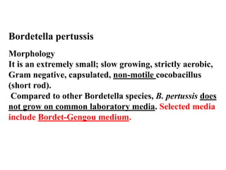 Bordetella pertussis depa | PPTX