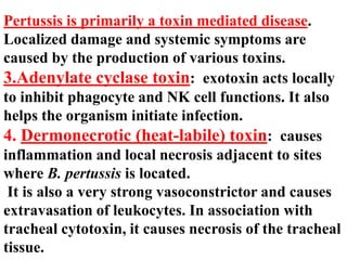 Bordetella pertussis depa | PPTX