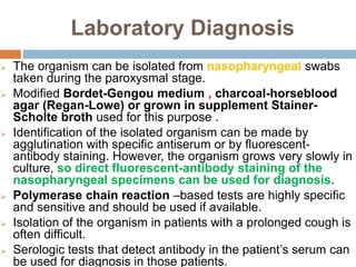 Bordetella spp. | PPTX