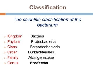 Bordetella spp. | PPTX