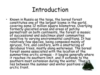 Boreal Forests | PPT