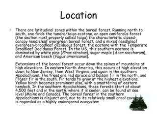 Boreal Forests | PPT