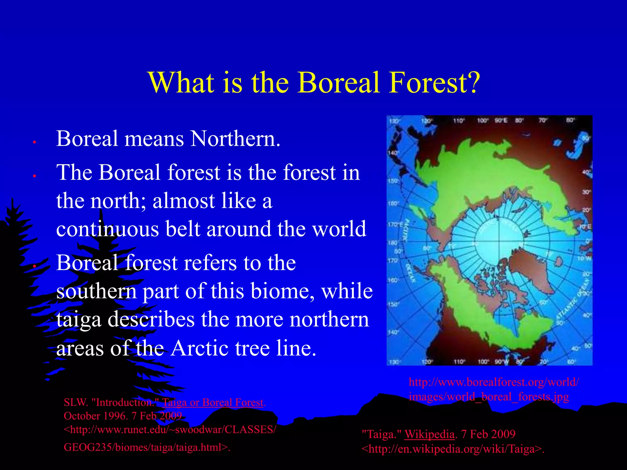 Biomes Project Example | PPTX