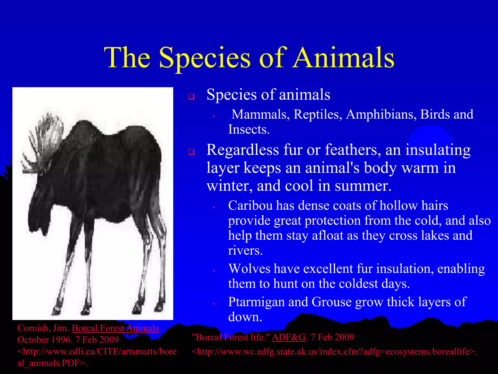 Biomes Project Example | PPTX