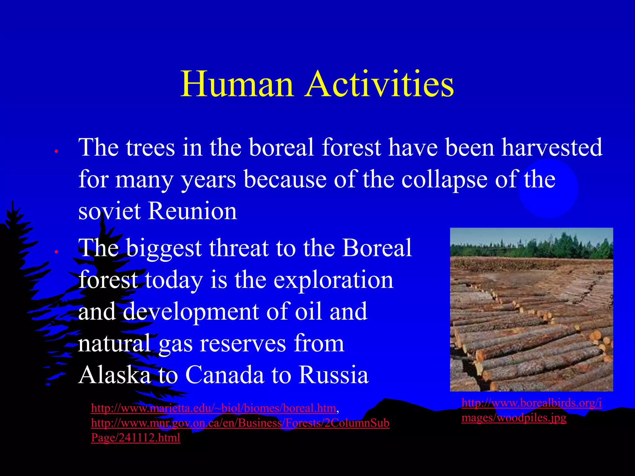 Biomes Project Example | PPTX