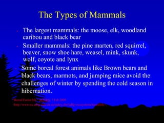 Biomes Project Example | PPTX